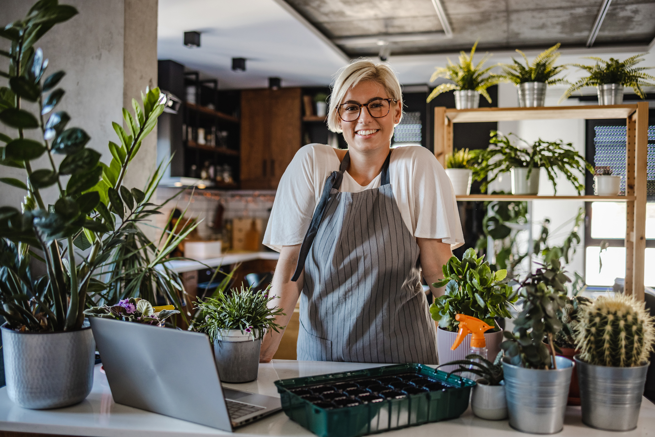 BNK Bank | The Bank for Enterprising Australians